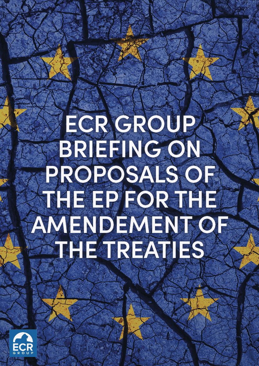 ECR Group briefing on Proposals of the European Parliament for the ...