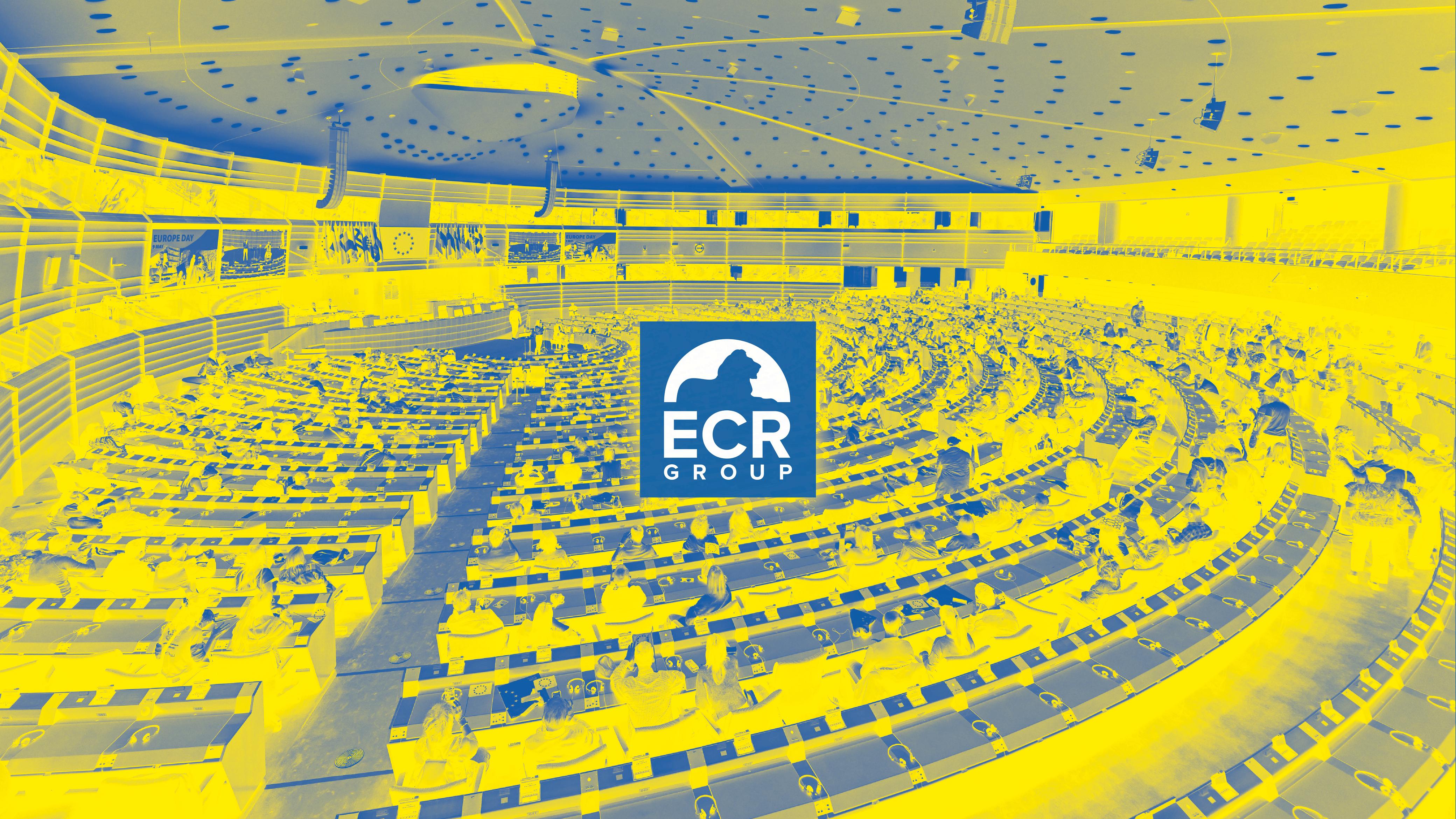 ECR Co-Chairmen congratulate committee chairs and vice-chairs // ECR Group