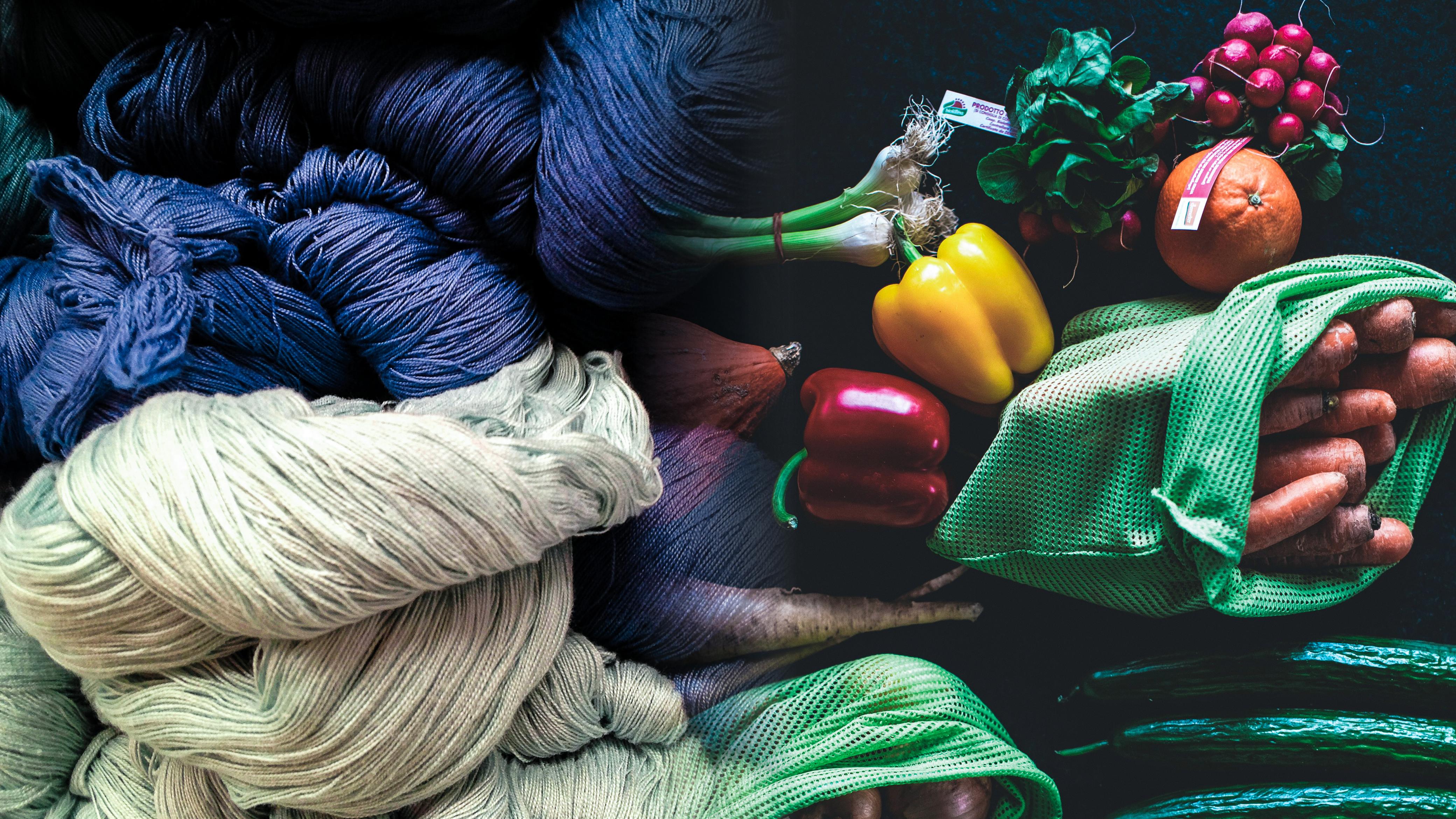 ECR Group supports practical steps to reduce food and textile waste ...