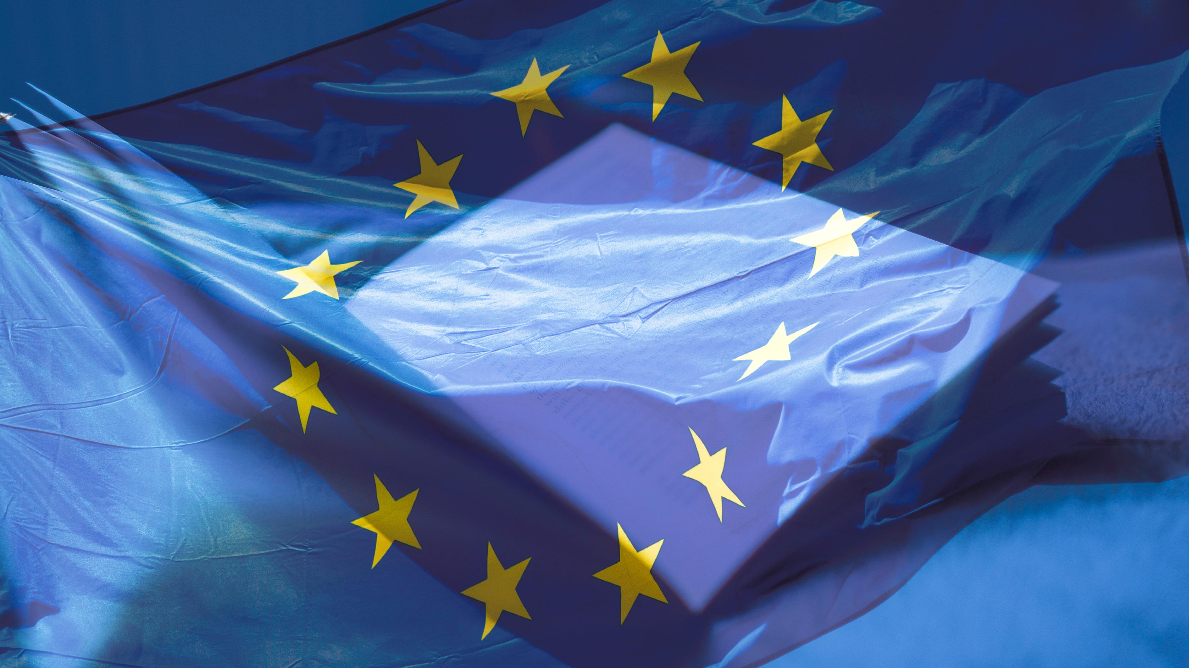 The Union must limit legislative and regulatory activity // ECR Group