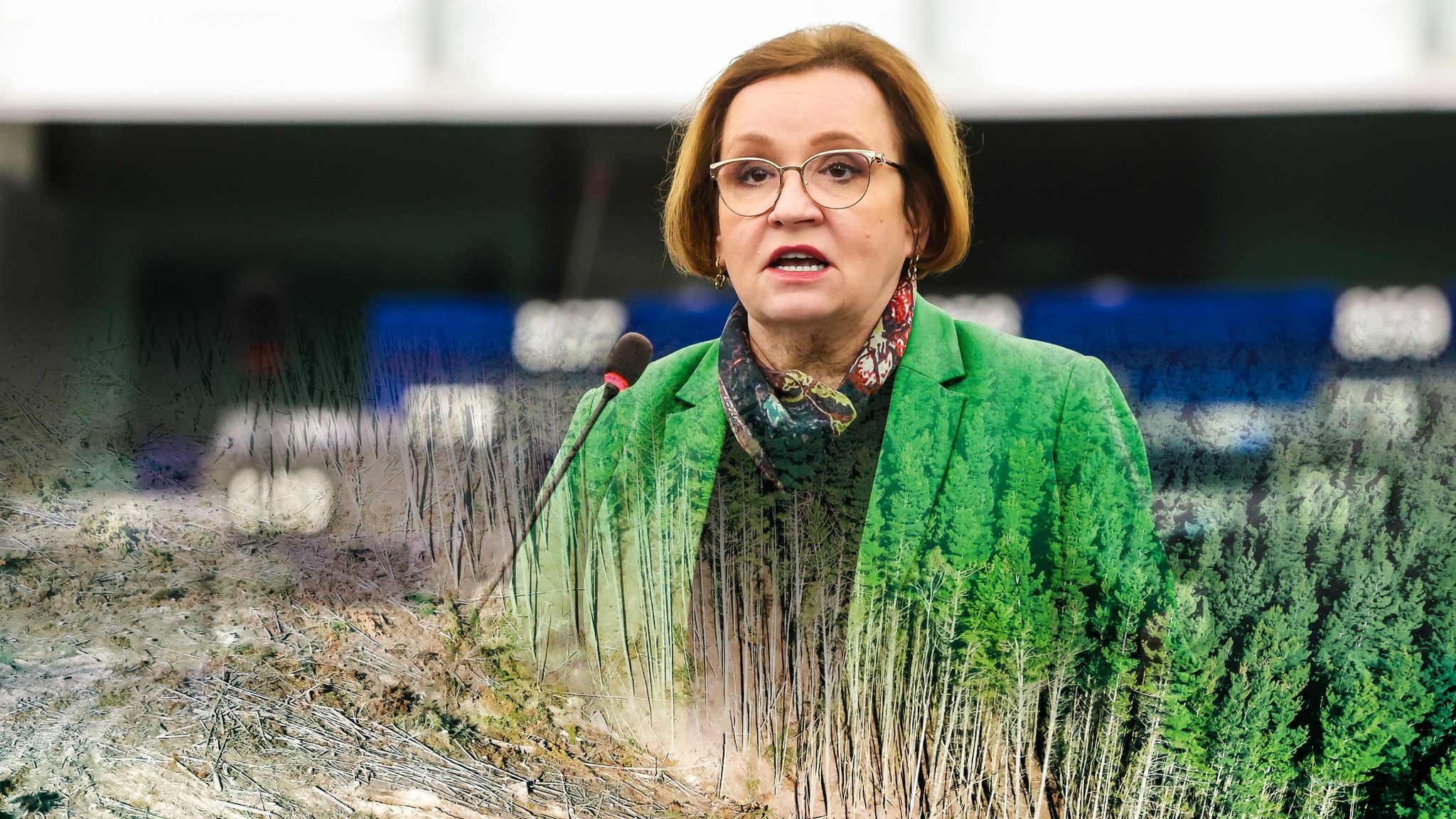 Zalewska: Common sense prevails as Parliament fells deforestation risk ...